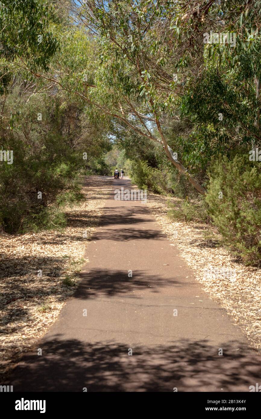 Bushland along path australia hi-res stock photography and images - Alamy