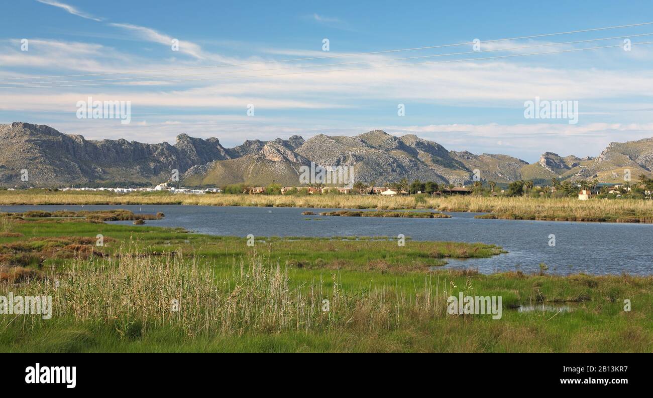 Nationalpark von albufera hi-res stock photography and images - Alamy