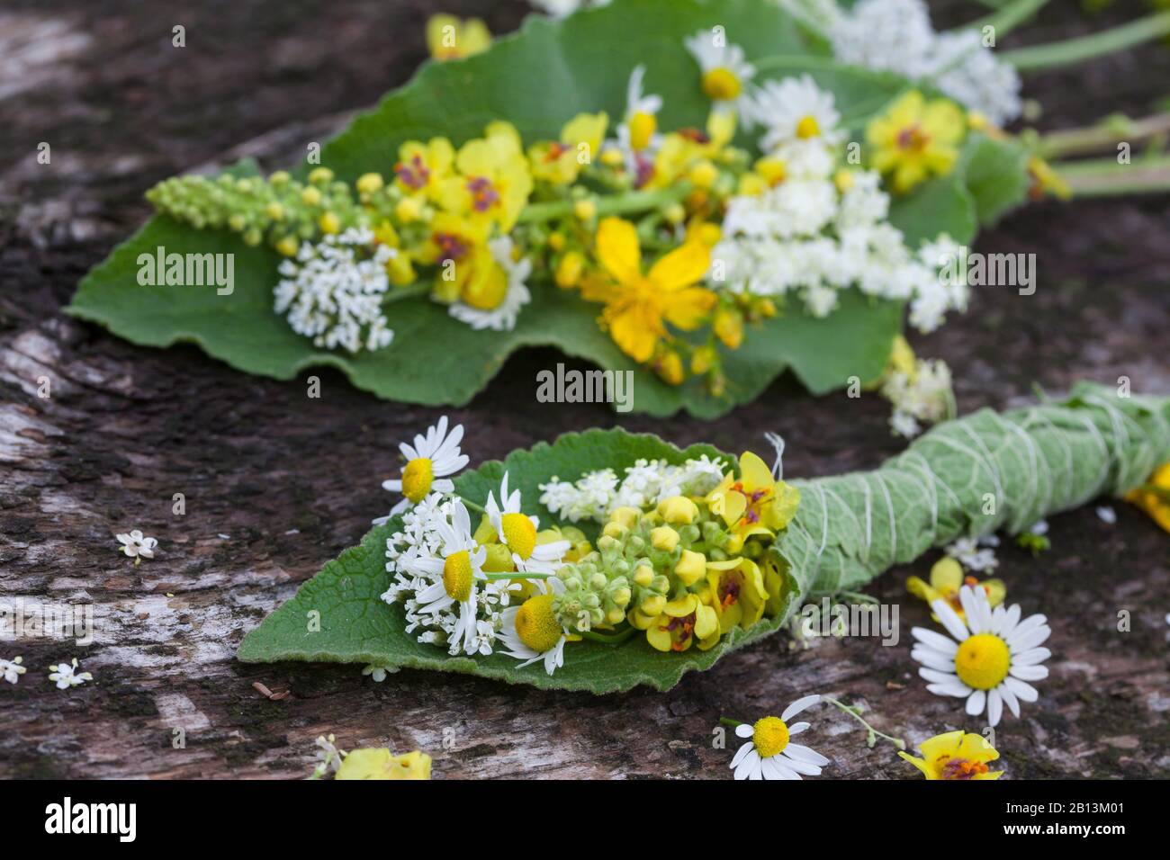 curing plants, Germany Stock Photo - Alamy