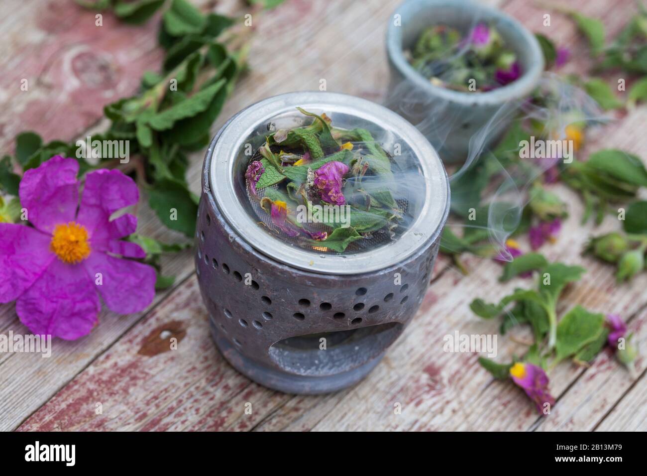 Rock roses hi-res stock photography and images - Alamy