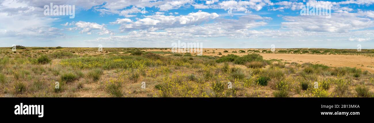 Western steppes hi-res stock photography and images - Alamy