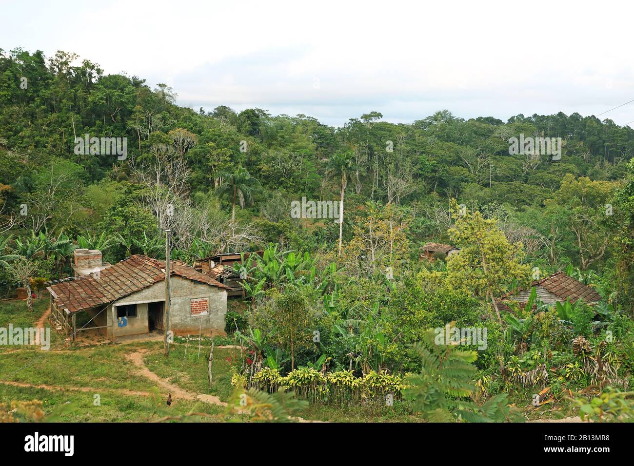 Rain forest house hi-res stock photography and images - Alamy