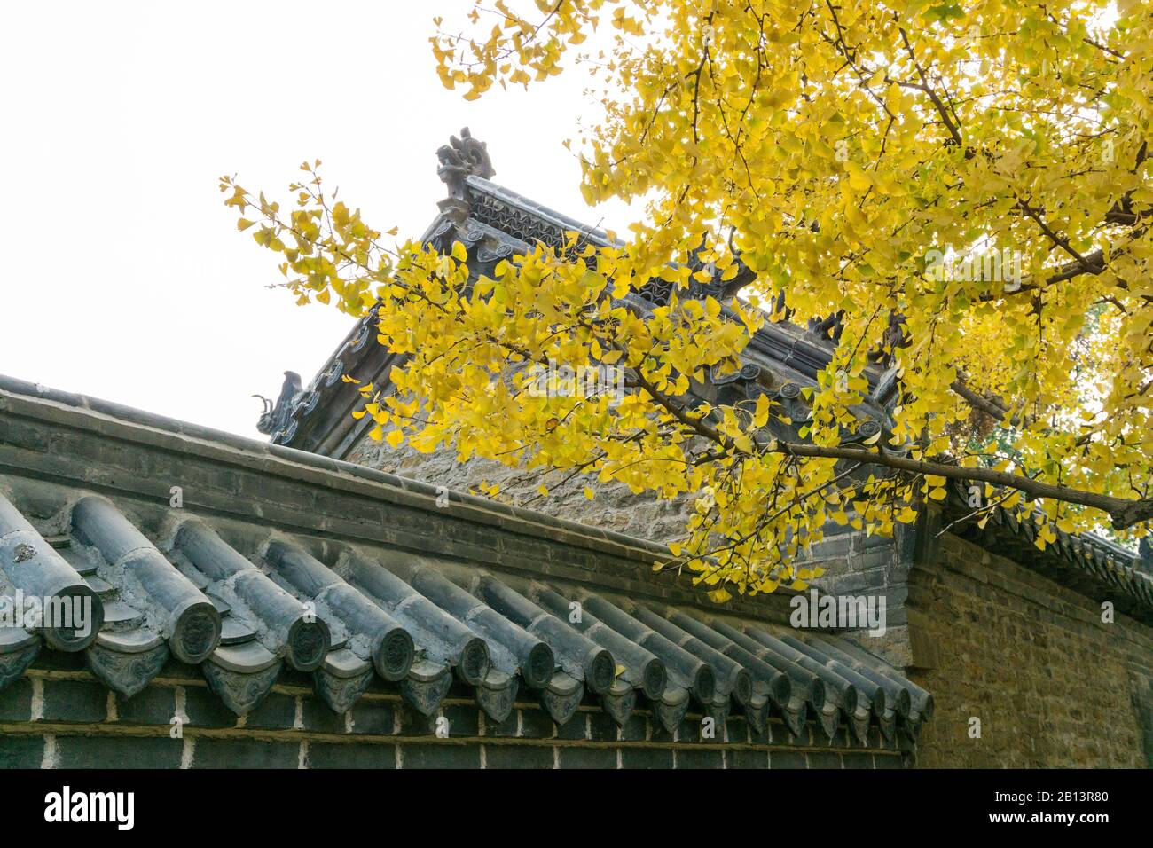 Fulaishan Dinglin Temple 4000-year-old ginkgo tree and ancient temple ...