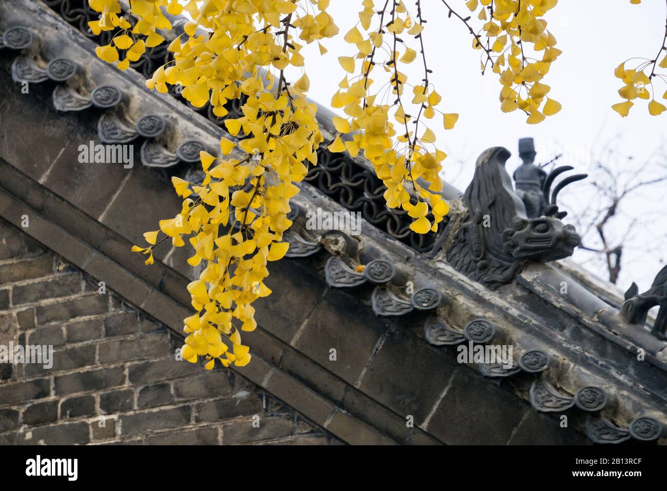 Fulaishan Dinglin Temple 4000-year-old ginkgo tree and ancient temple ...