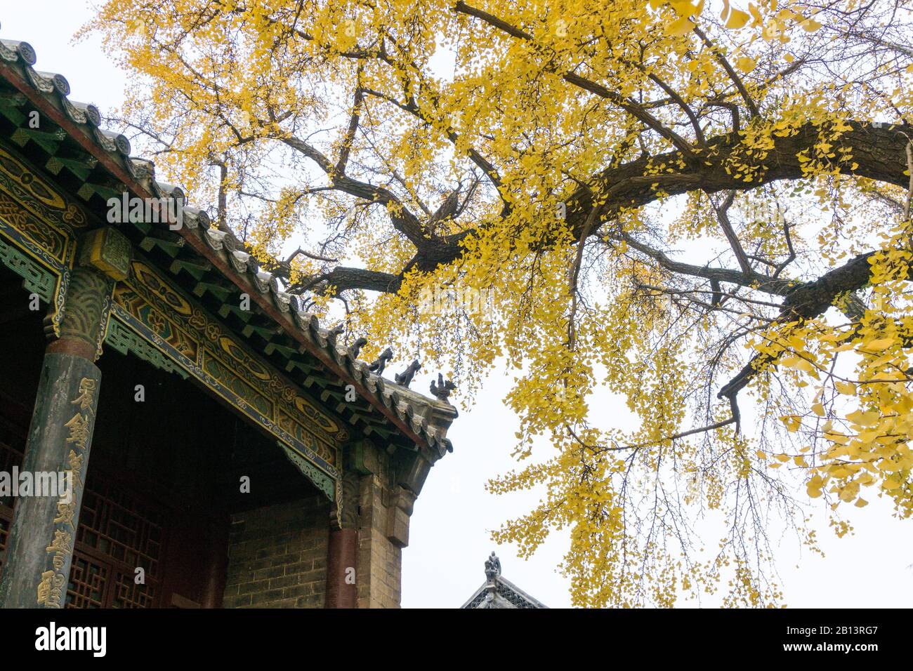 Fulaishan Dinglin Temple 4000-year-old ginkgo tree and ancient temple ...