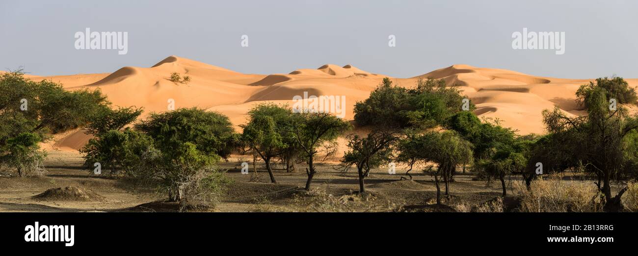 Mauritania landscape hi-res stock photography and images - Alamy