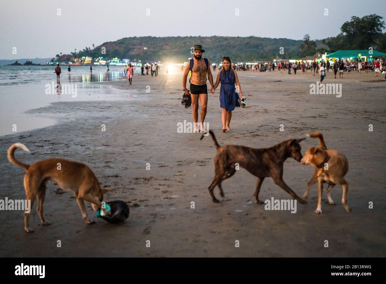People on the beach, Arambol, Goa, India Stock Photo - Alamy
