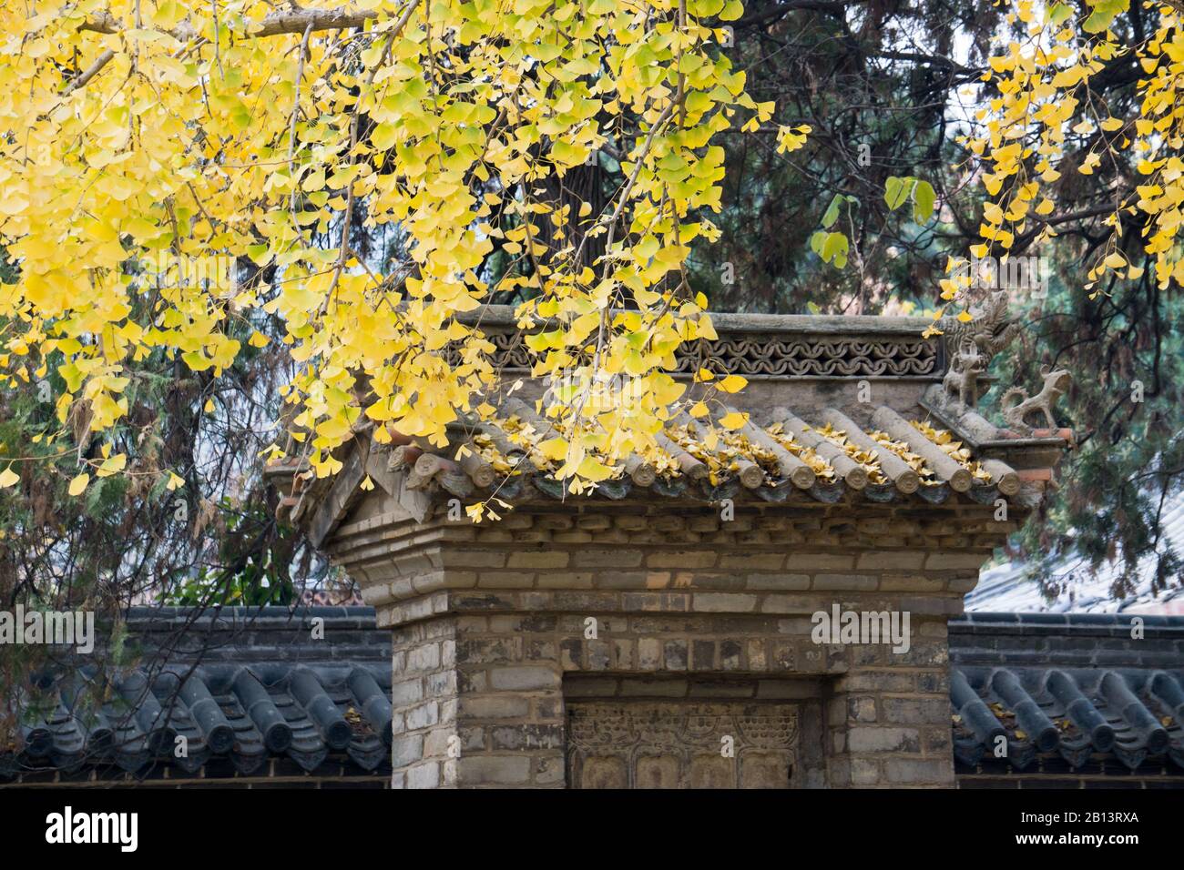 Fulaishan Dinglin Temple 4000-year-old ginkgo tree and ancient temple ...