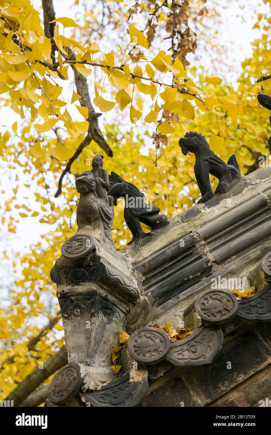 Fulaishan Dinglin Temple 4000-year-old ginkgo tree and ancient temple ...