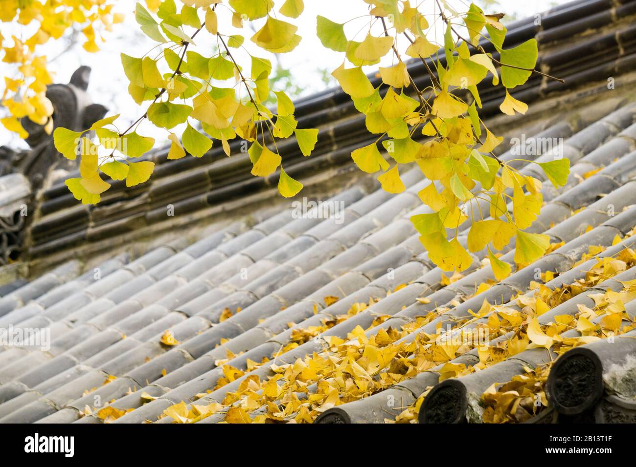 Fulaishan Dinglin Temple 4000-year-old ginkgo tree and ancient temple ...