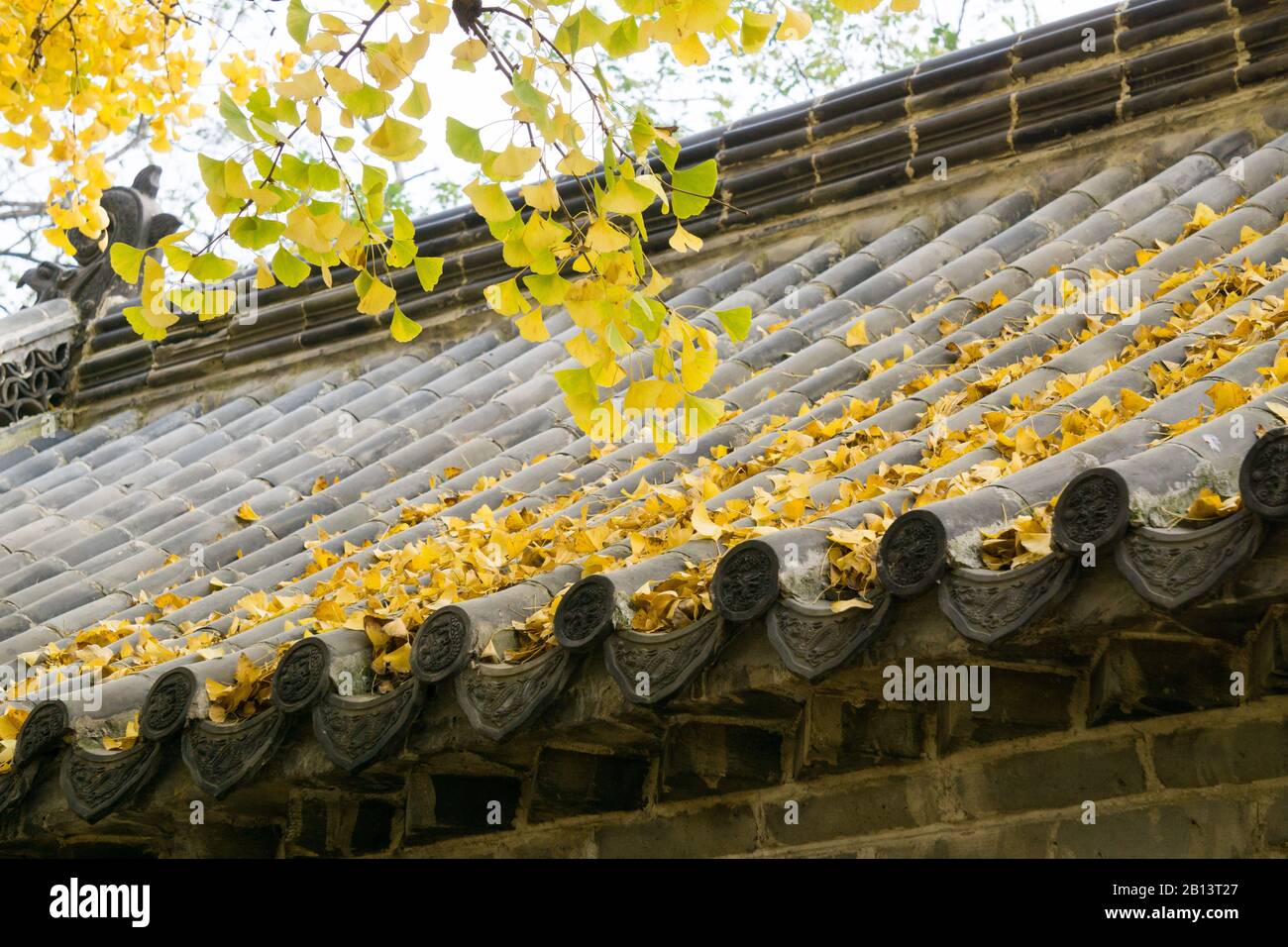 Fulaishan Dinglin Temple 4000-year-old ginkgo tree and ancient temple ...
