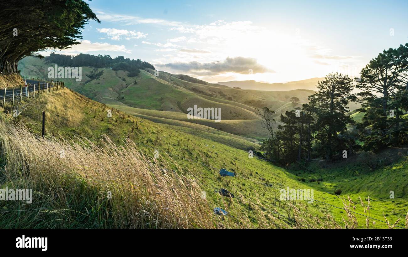 Portobello new zealand hi-res stock photography and images - Alamy
