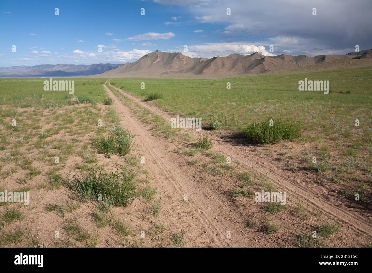 The landscape of the mongolian steppe Stock Photo - Alamy