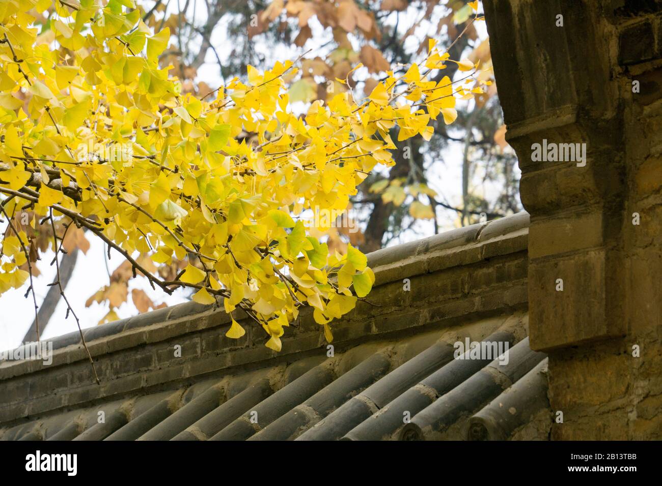 Fulaishan Dinglin Temple 4000-year-old ginkgo tree and ancient temple ...