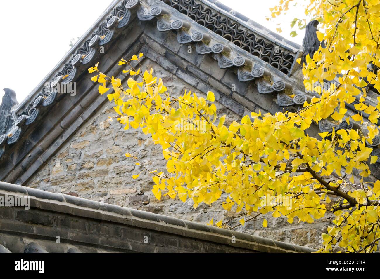 Fulaishan Dinglin Temple 4000-year-old ginkgo tree and ancient temple ...