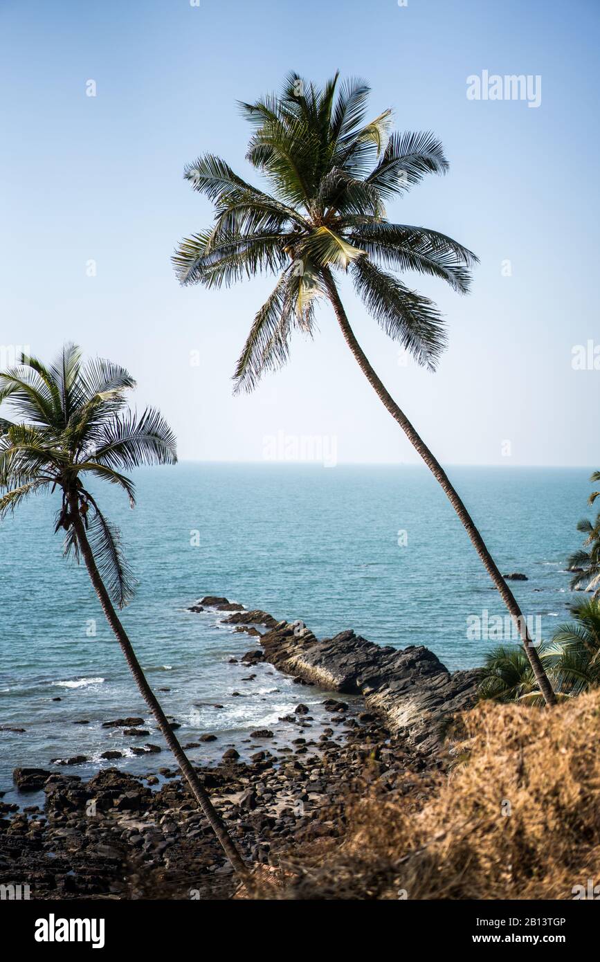 Arambol palolem beach hi-res stock photography and images - Alamy