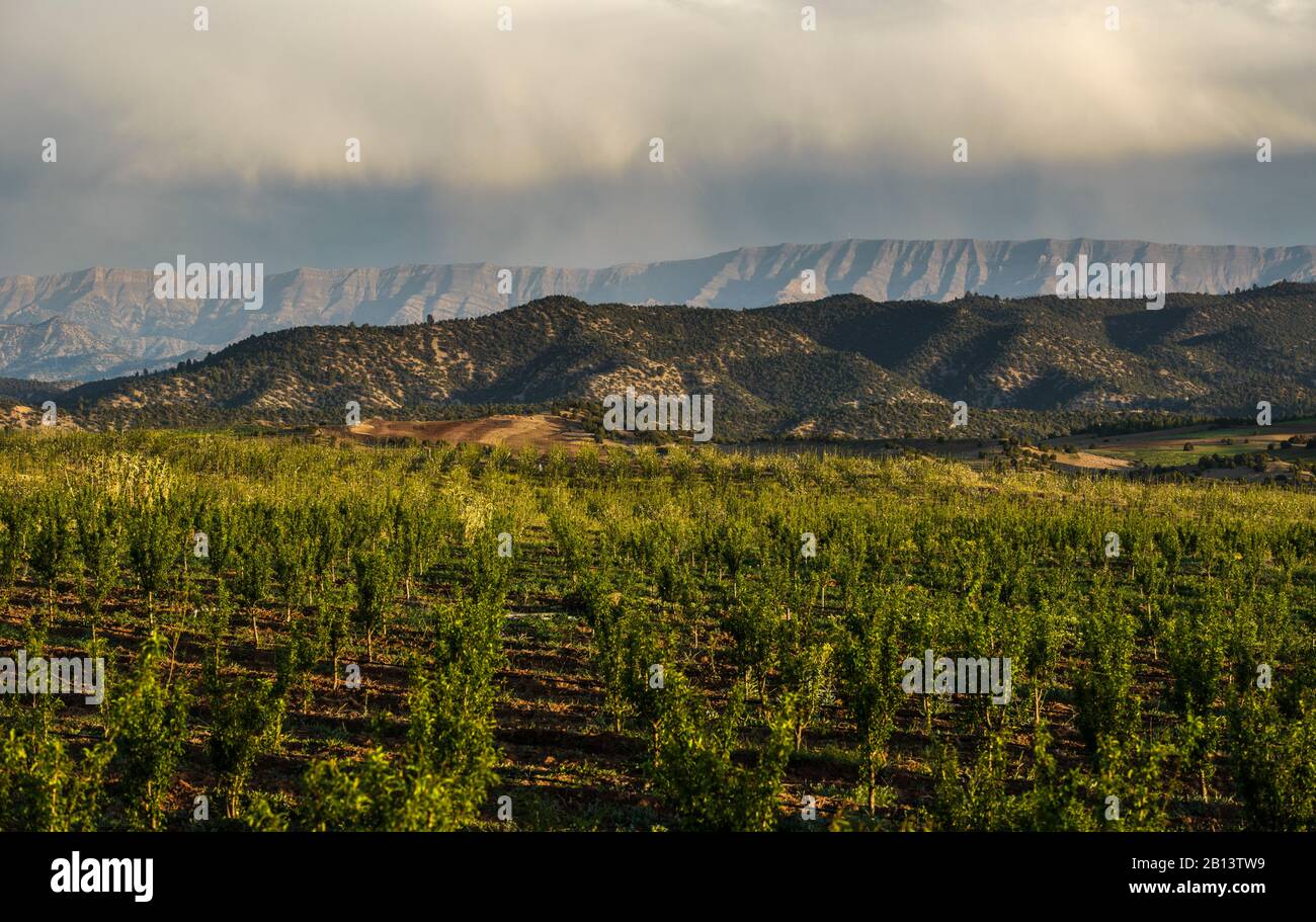 The Middle Atlas. morocco Stock Photo - Alamy