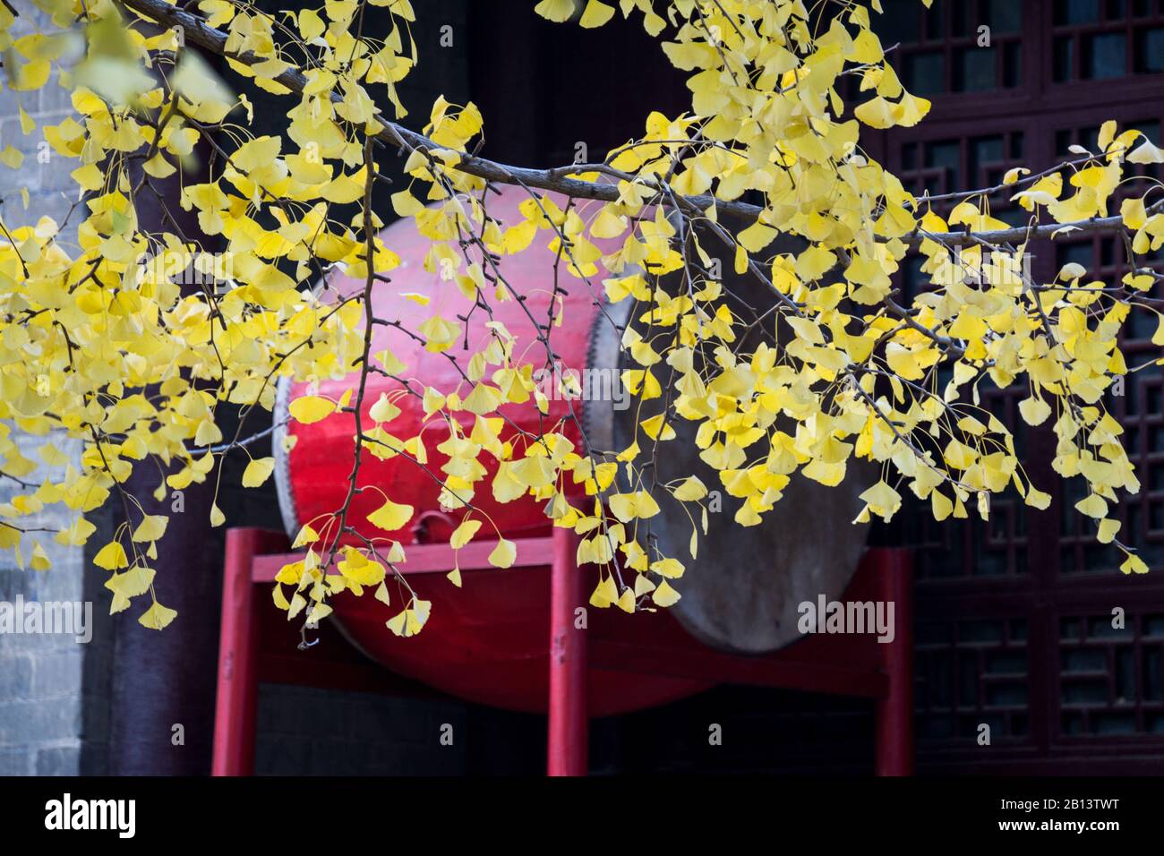 Fulaishan Dinglin Temple 4000-year-old ginkgo tree and ancient temple ...
