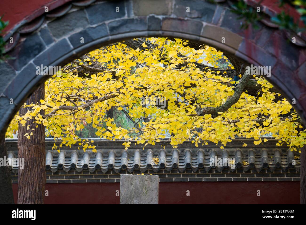 Fulaishan Dinglin Temple 4000-year-old ginkgo tree and ancient temple ...