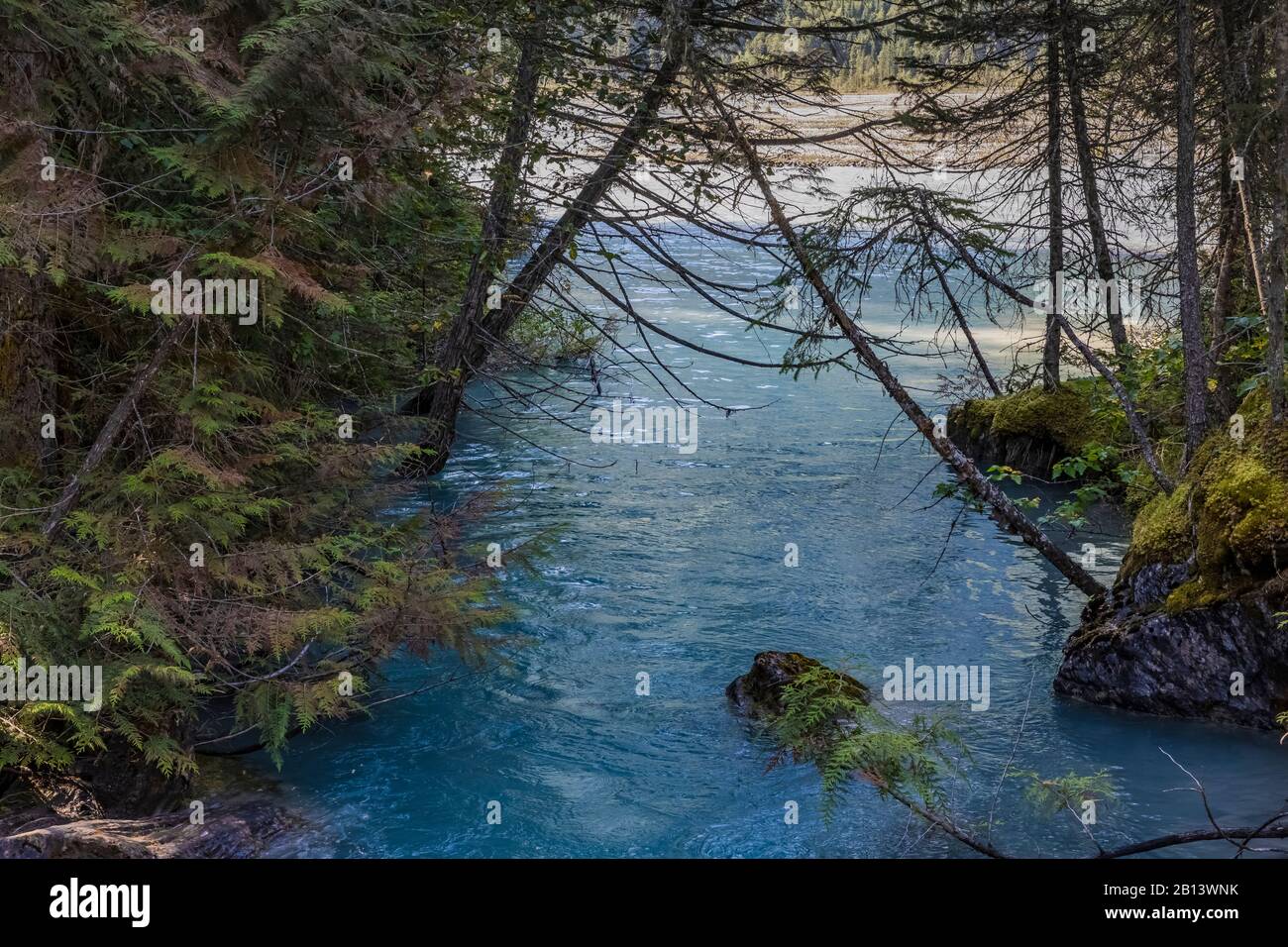 Channel of Robson River in Mount Robson Provincial Park, British ...