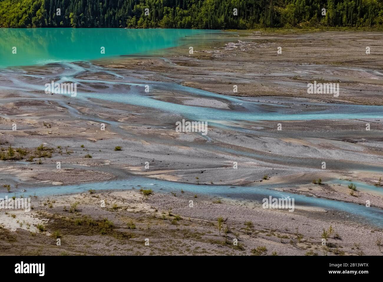 Braided channels of the Robson River as it approaches Kinney Lake in ...