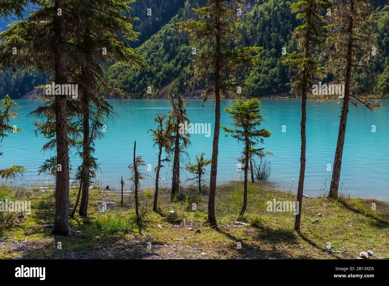 Kinney lake camping hi-res stock photography and images - Alamy