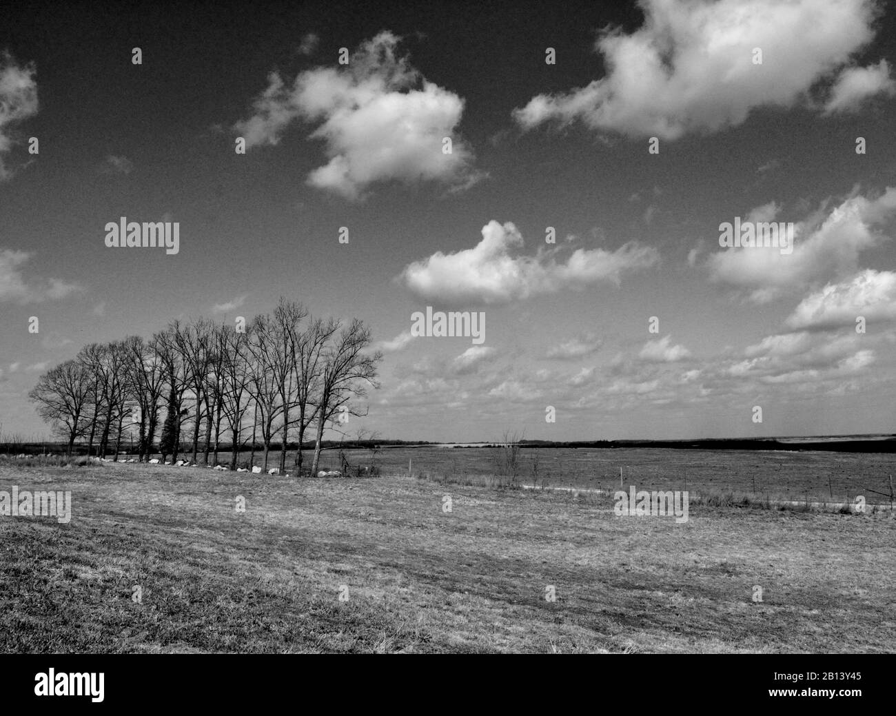 Horizon line trees Black and White Stock Photos & Images - Alamy