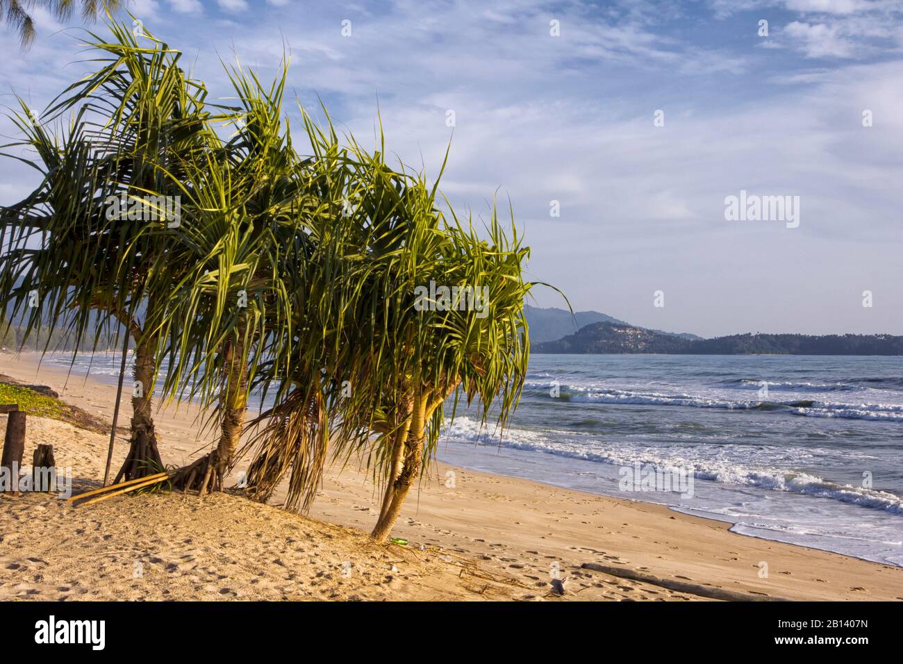 Pandanus beach hi-res stock photography and images - Alamy