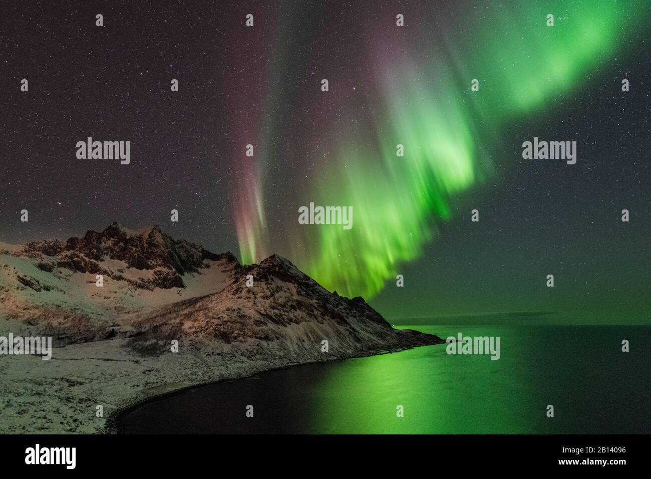 Northern lights over the Metfjord at night,Senja,Norway Stock Photo - Alamy