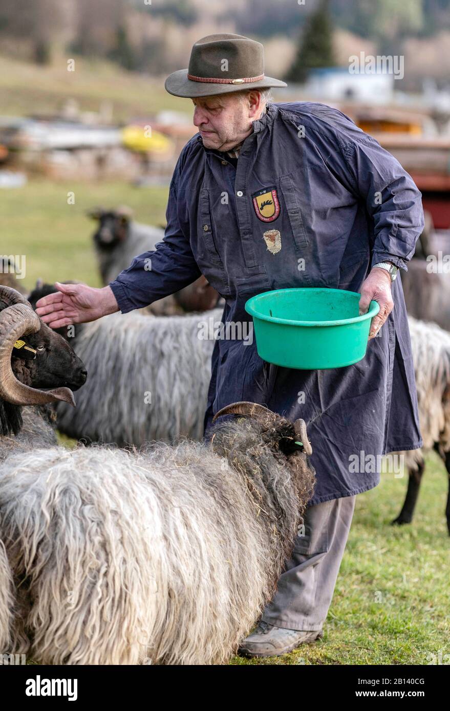 Bad Wildbad, Germany. 21st Feb, 2020. Sheep farmer Karl-Otto ...