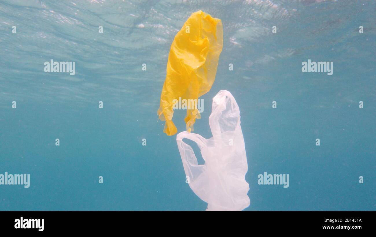 Plastic pollution in ocean. Ecological problem, Environmental Pollution ...