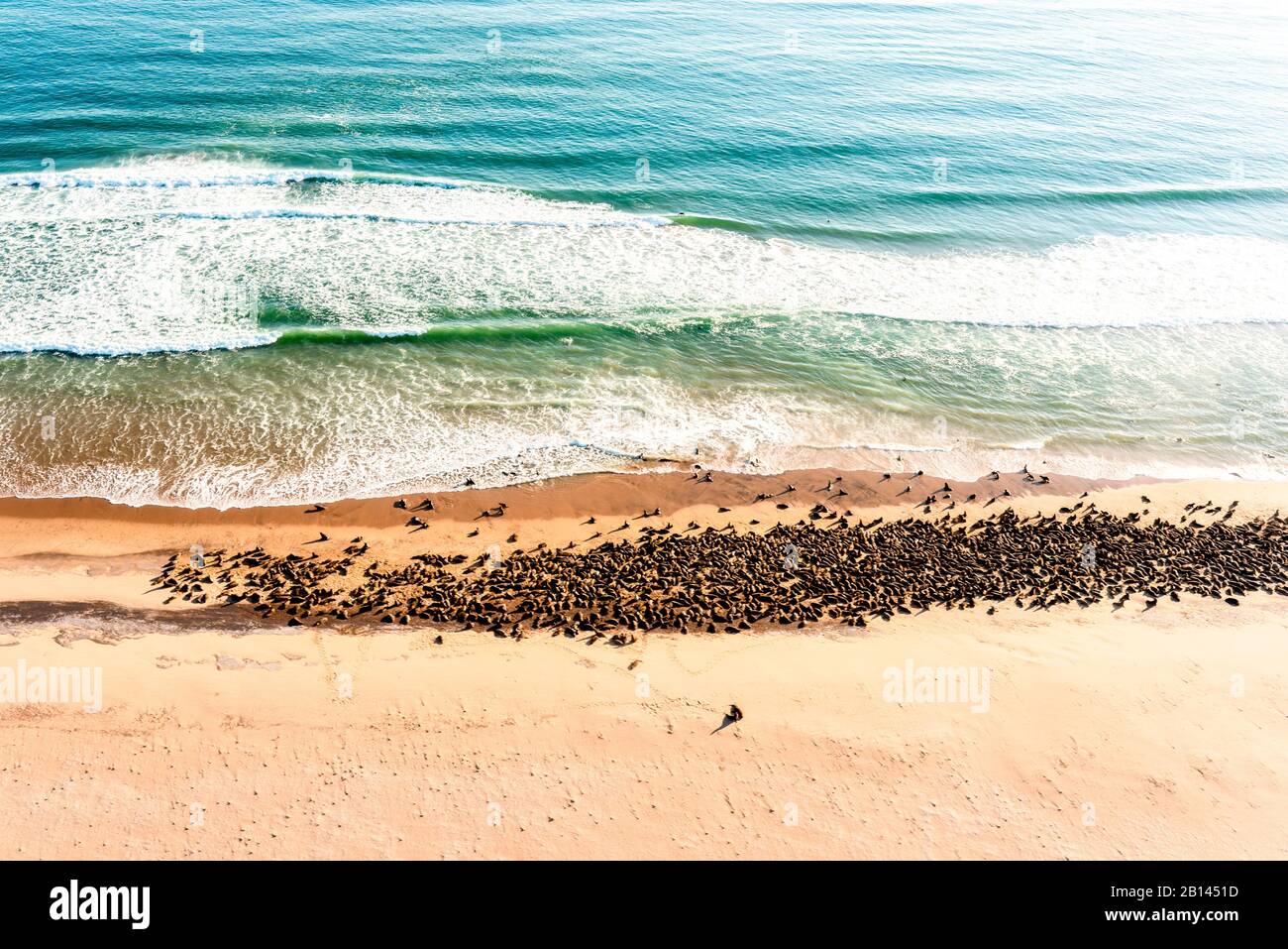 Skeleton coast namibia aerial hi-res stock photography and images - Alamy