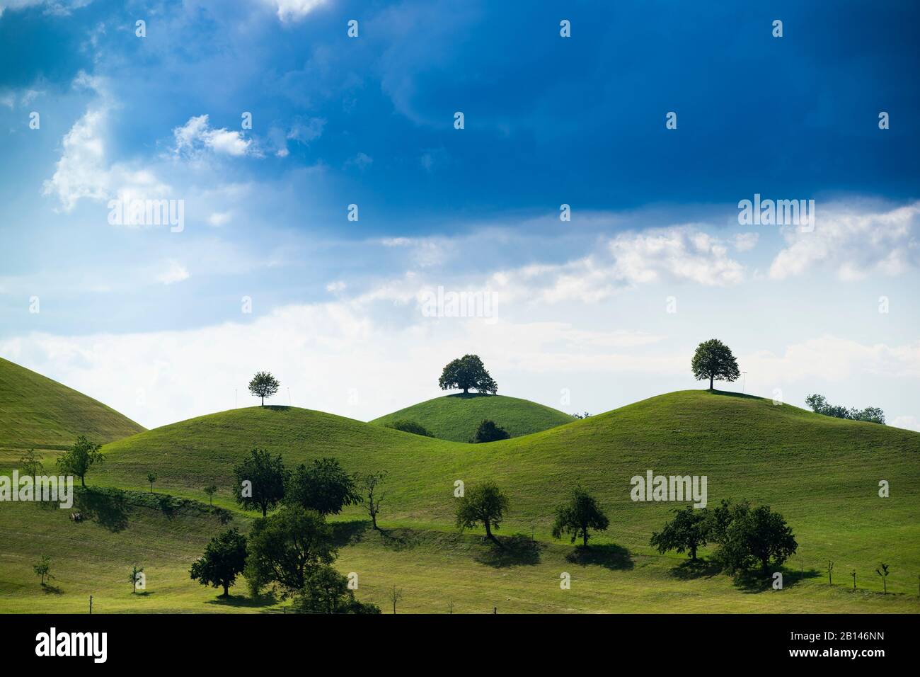 The green landscape hi-res stock photography and images - Alamy