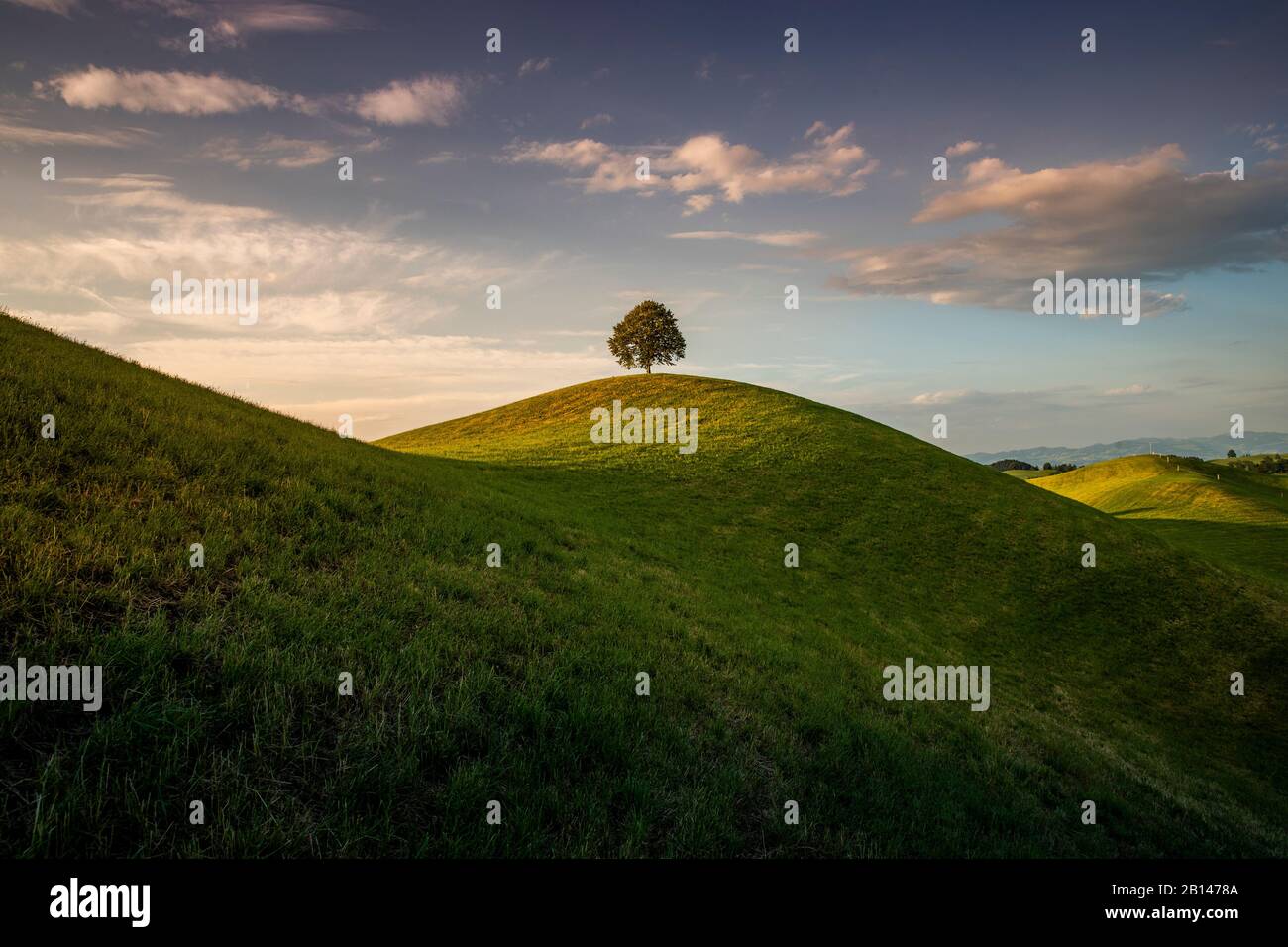 Hilly green landscape in Switzerland Stock Photo - Alamy