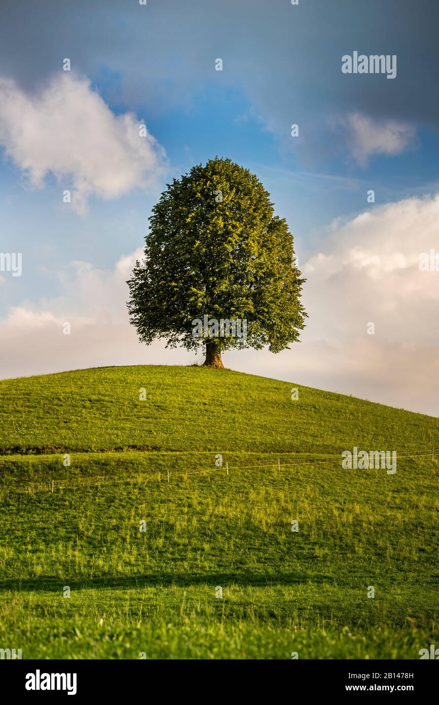 Hilly green landscape in Switzerland Stock Photo - Alamy