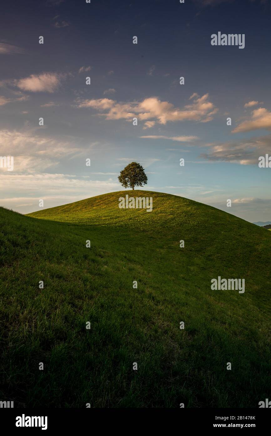 Hilly green landscape in Switzerland Stock Photo - Alamy