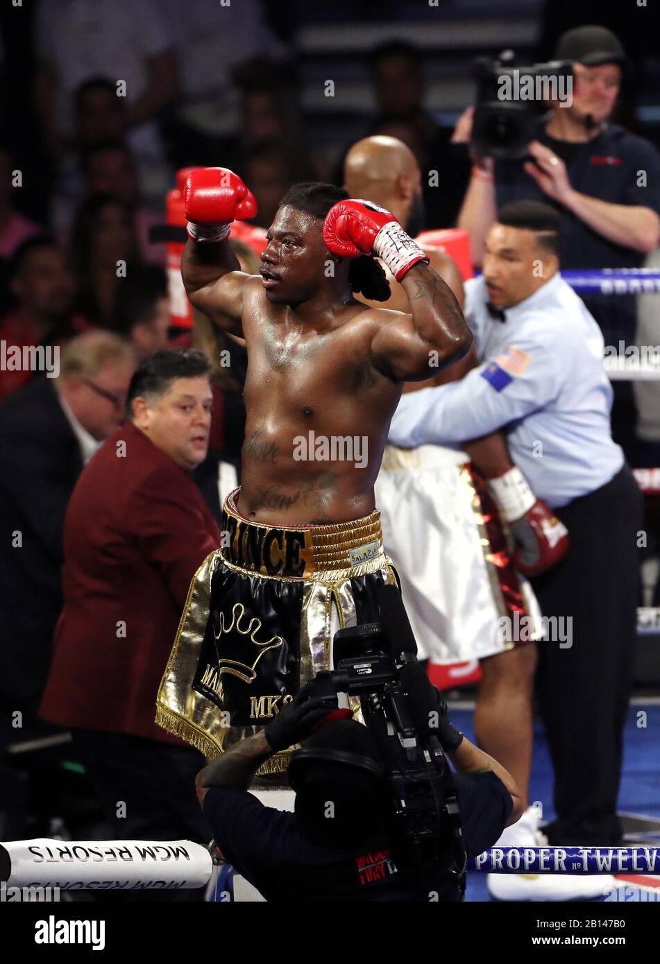 Heavy weight bout mgm grand hi-res stock photography and images - Alamy