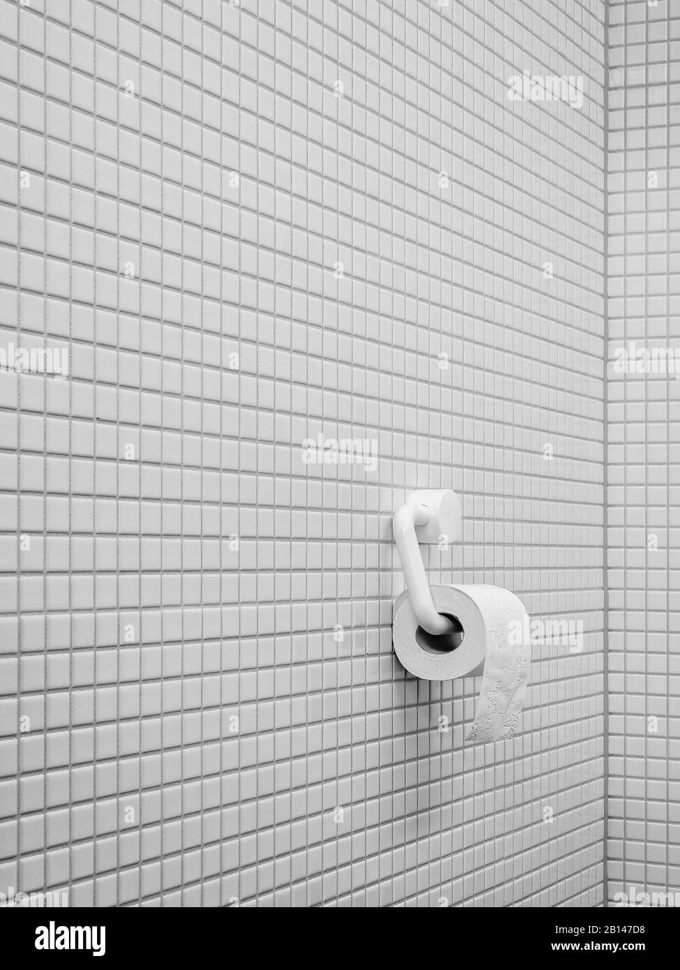 WC, toilet, toilet paper, tiles, white Stock Photo - Alamy