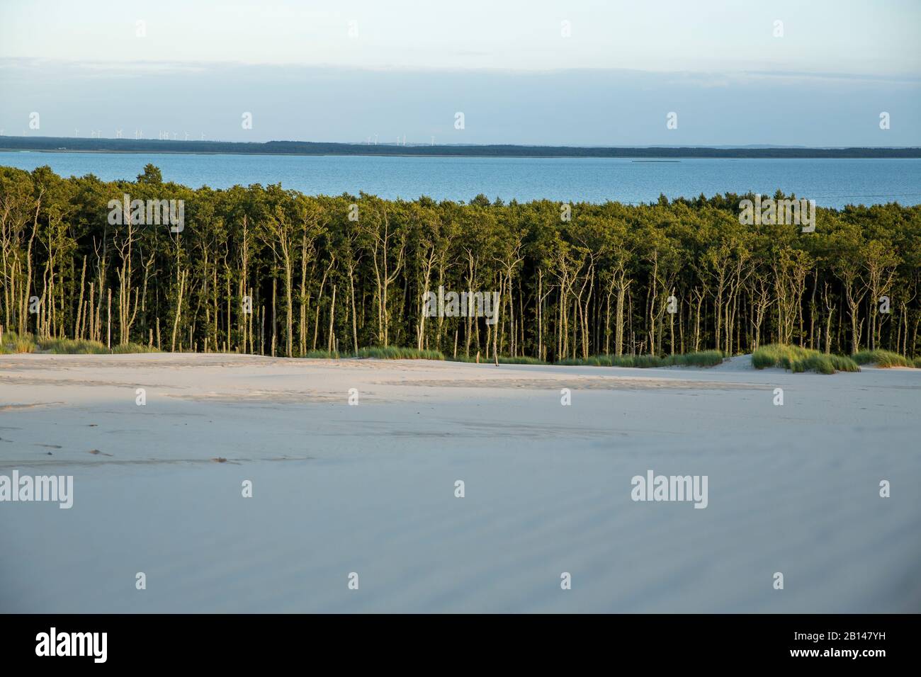 Hiking dune, Leba, Poland Stock Photo - Alamy