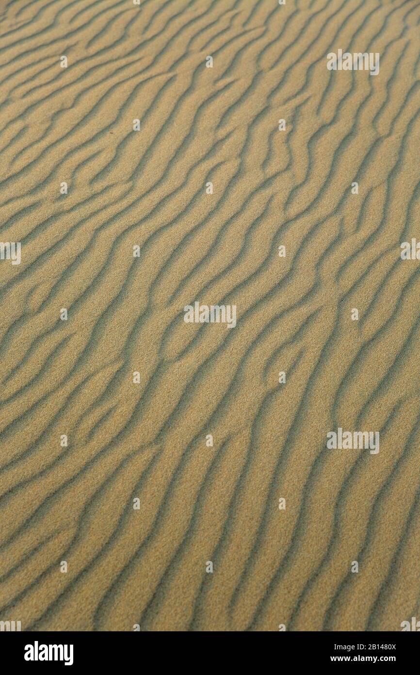 Hiking dune, Leba, Poland Stock Photo - Alamy