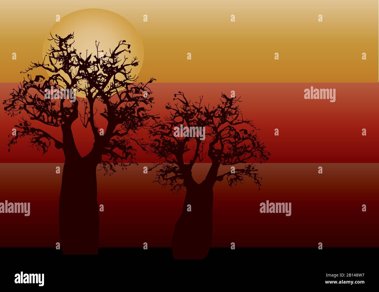 Boab tree with three different colors in the background of red yellow ...