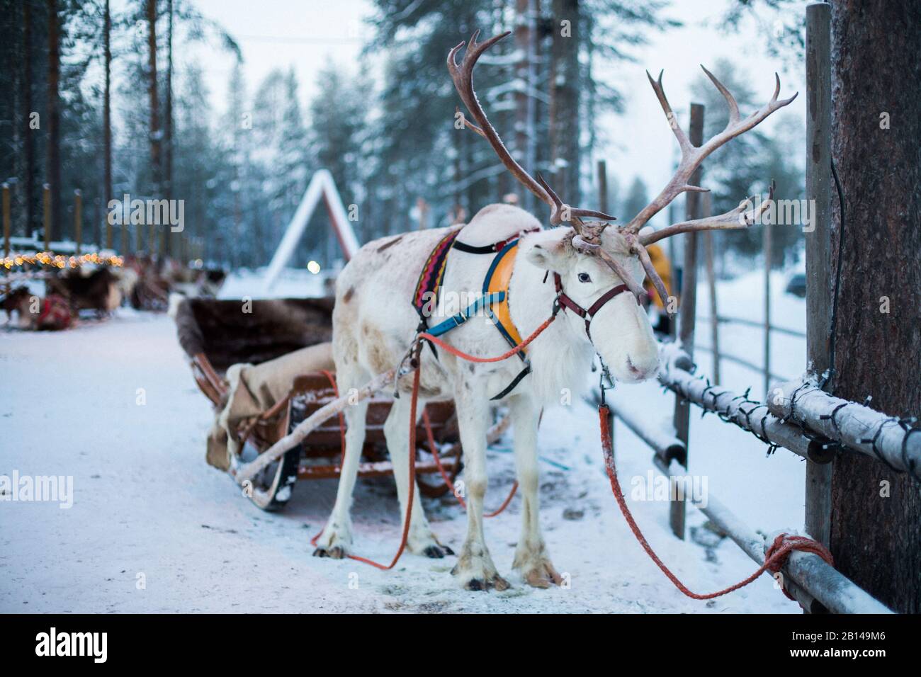 Christmas village in Rovaniemi just before Christmas, Finland Stock ...