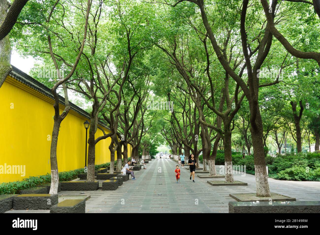 Pedestrian Trail in the woods of Hongmei Park, Changzhou, Jiangsu ...