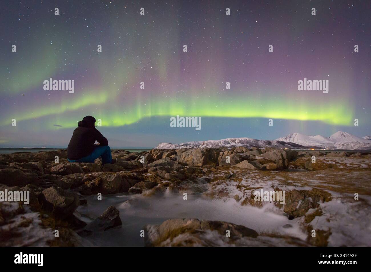 Lofoten Norway Polar lights in February Winter Winter landscape Aurora ...
