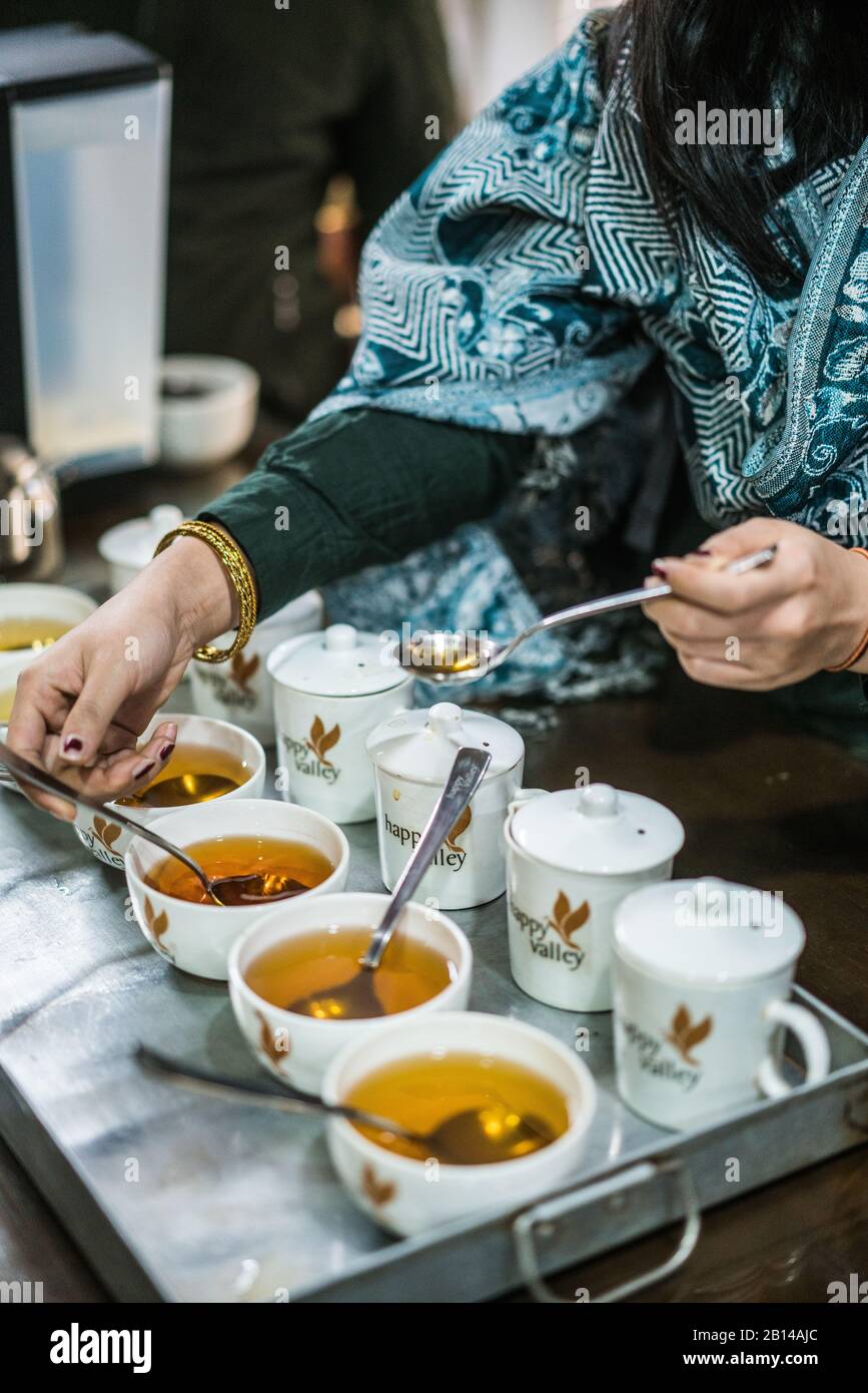 Tea factory, darjeeling, India Stock Photo - Alamy