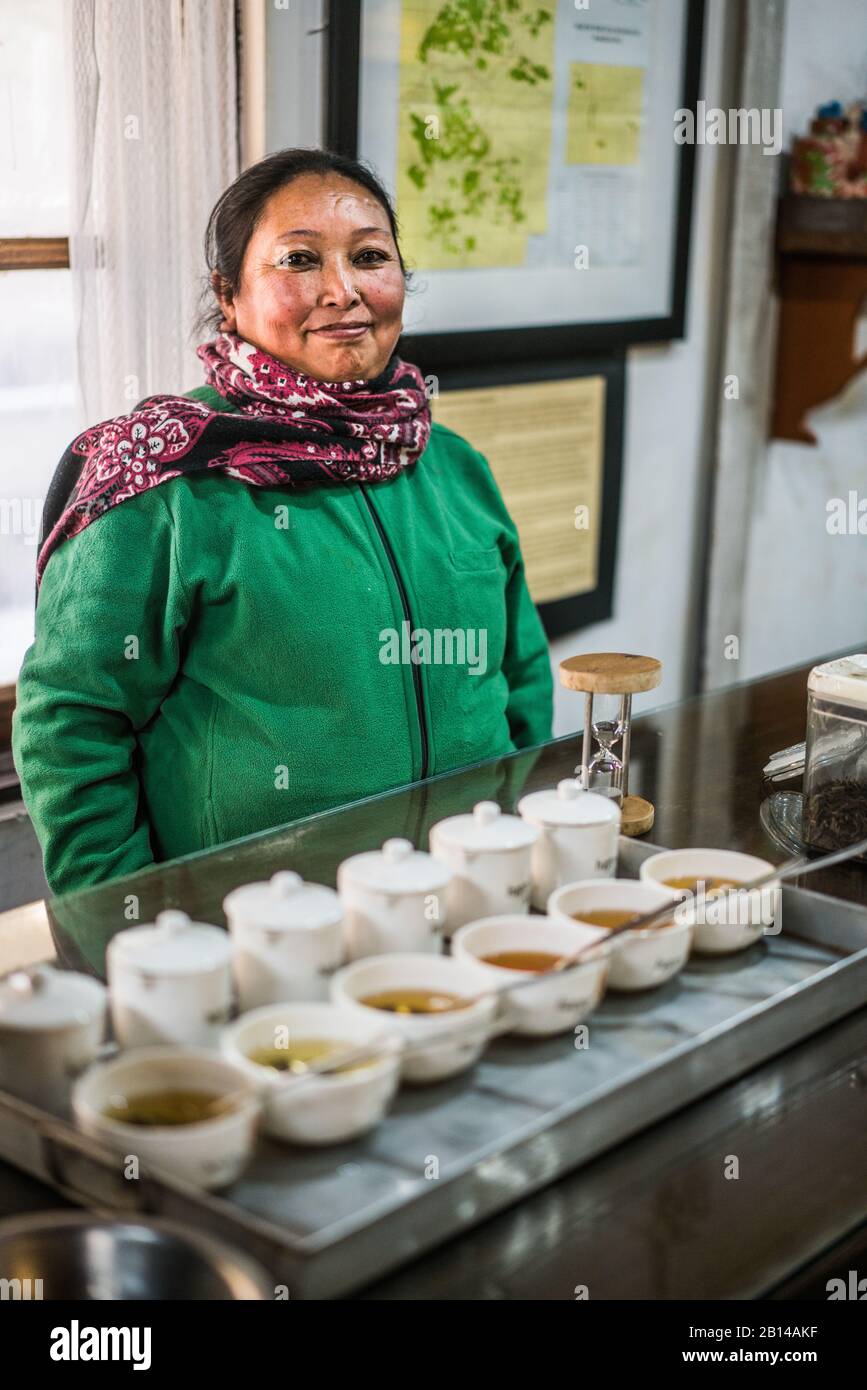 Tea factory, darjeeling, India Stock Photo - Alamy