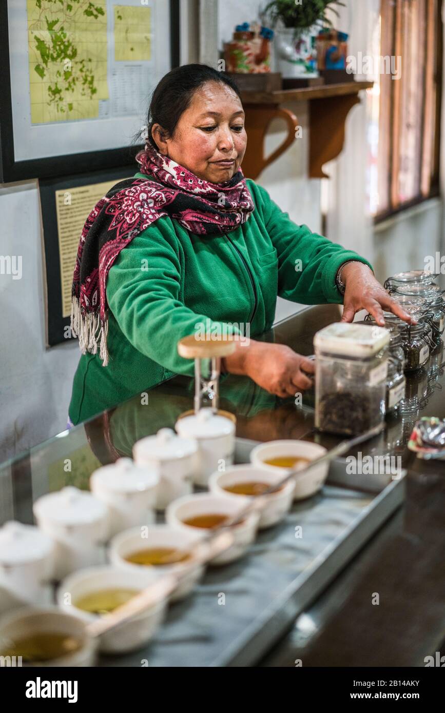 Tea factory, darjeeling, India Stock Photo - Alamy