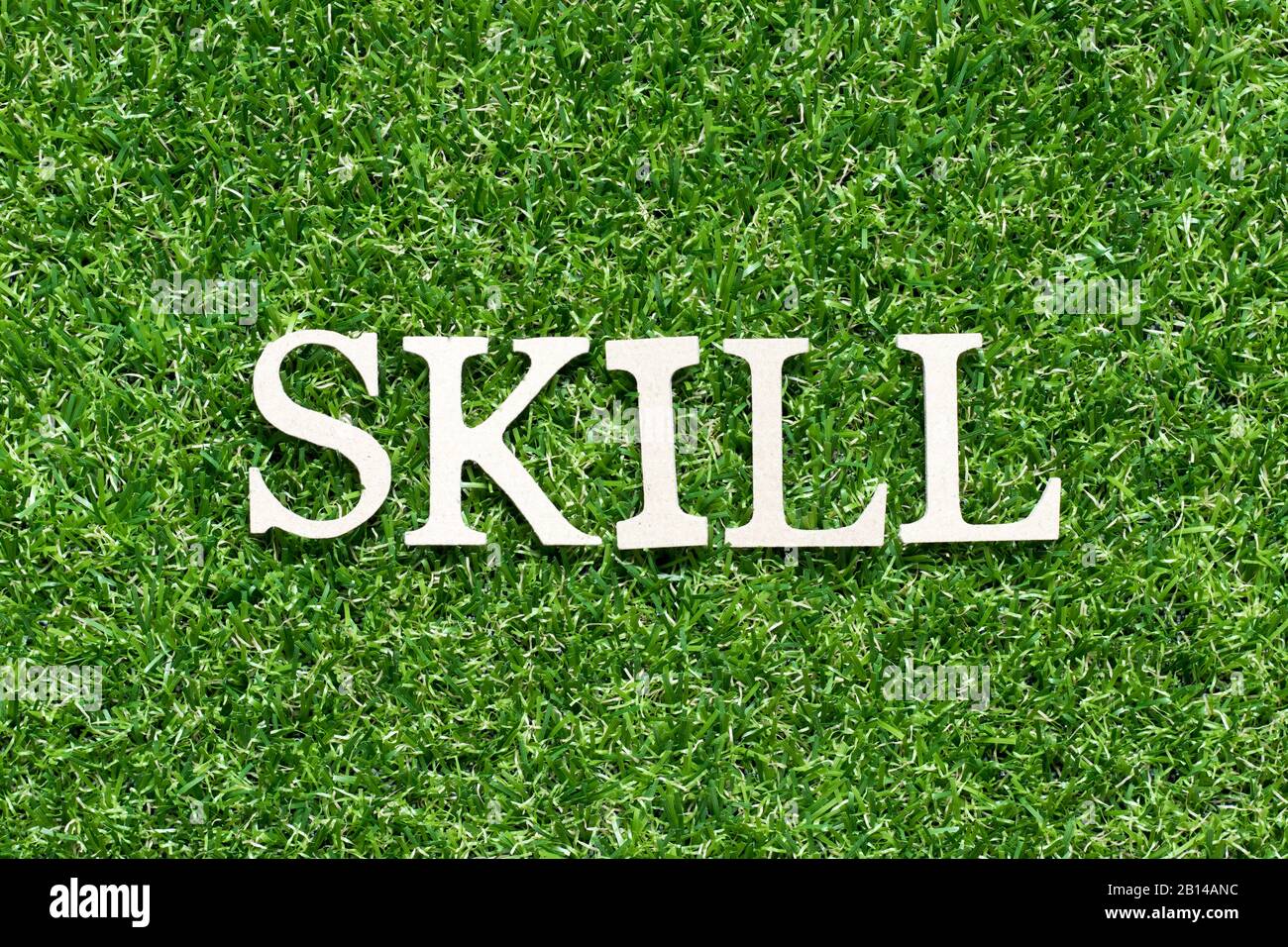 Wood alphabet letter in word skill on artificial green grass background ...