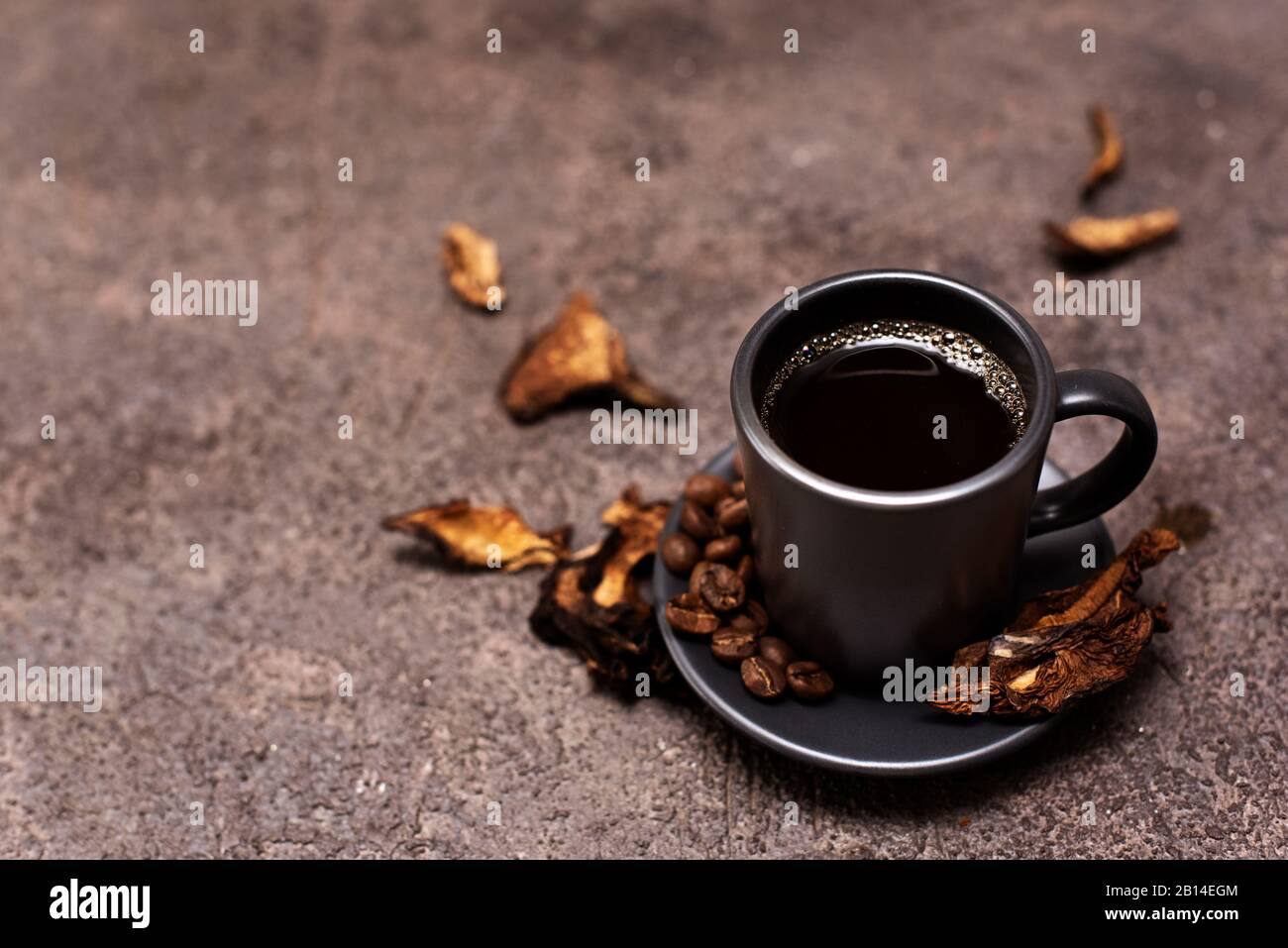 Mushroom Chaga Coffee Superfood Trend-dry and fresh mushrooms and ...