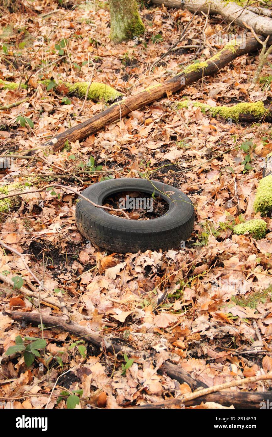 Waste tires disposal in the forest Stock Photo - Alamy
